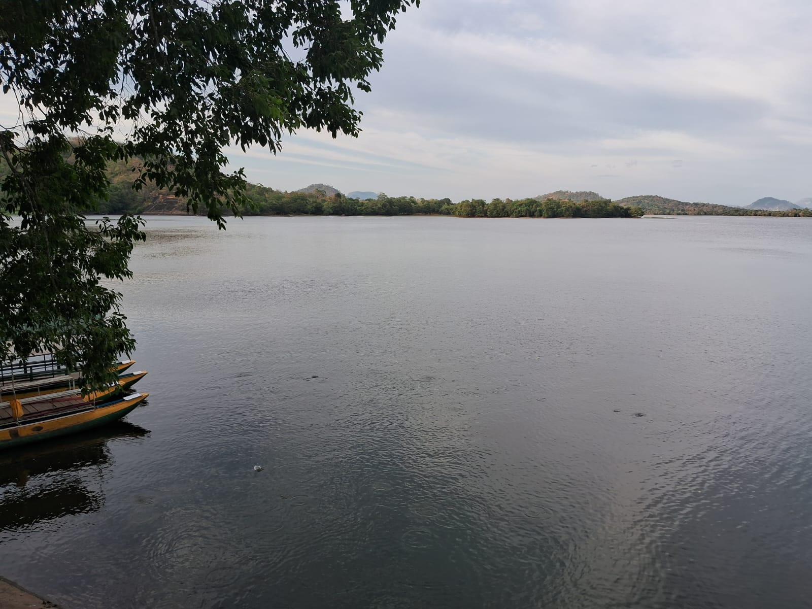 Bird Watching at Sorabora Lake - Hidden Gem Tours